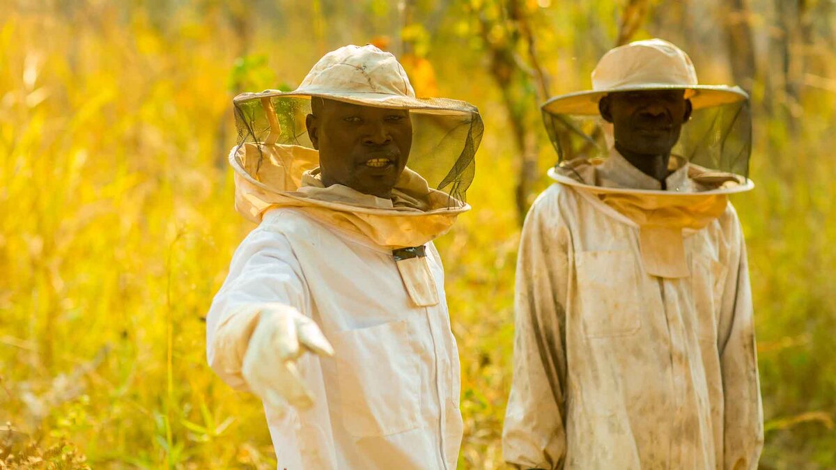 Aus Liebe zu fairem Biohonig: Upendo Honey | GEPA | GEPA